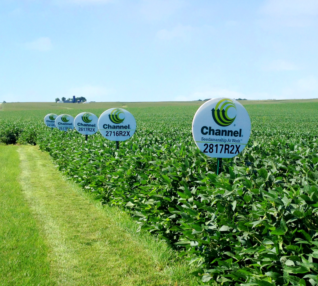Channel Seeds - Bierl Ag Services